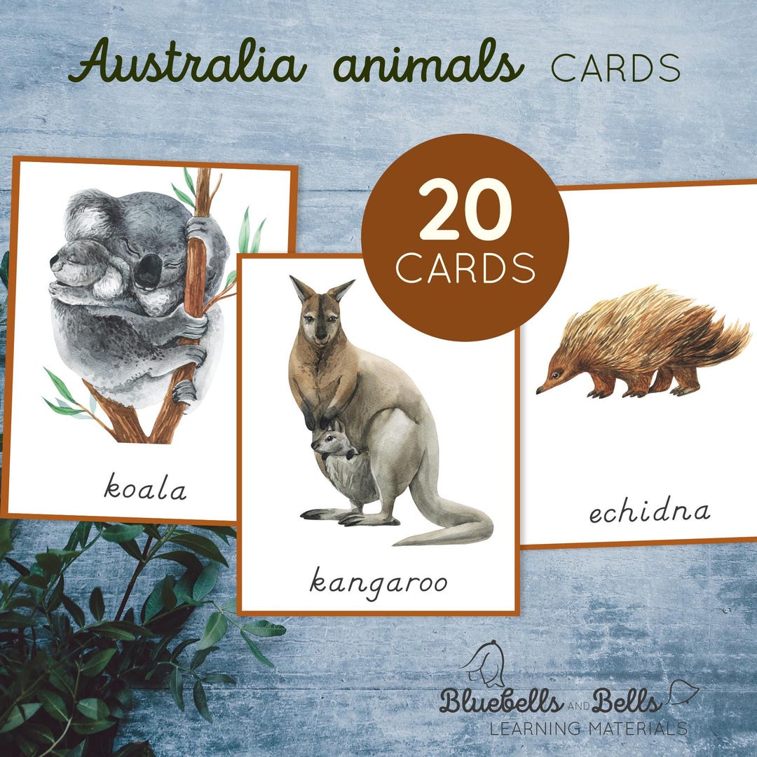Australia Animals Cards Printable. - Etsy