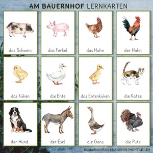 Bauernhoftiere Bildkarten. Lernkarten Deutsche Sprache Für Kleinkinder ...
