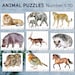 Animal Puzzles 1-10 Number Sequence. Kids Printable Counting Game. - Etsy