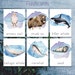 Arctic Animals Montessori Printable. North Pole Animals Toddler ...