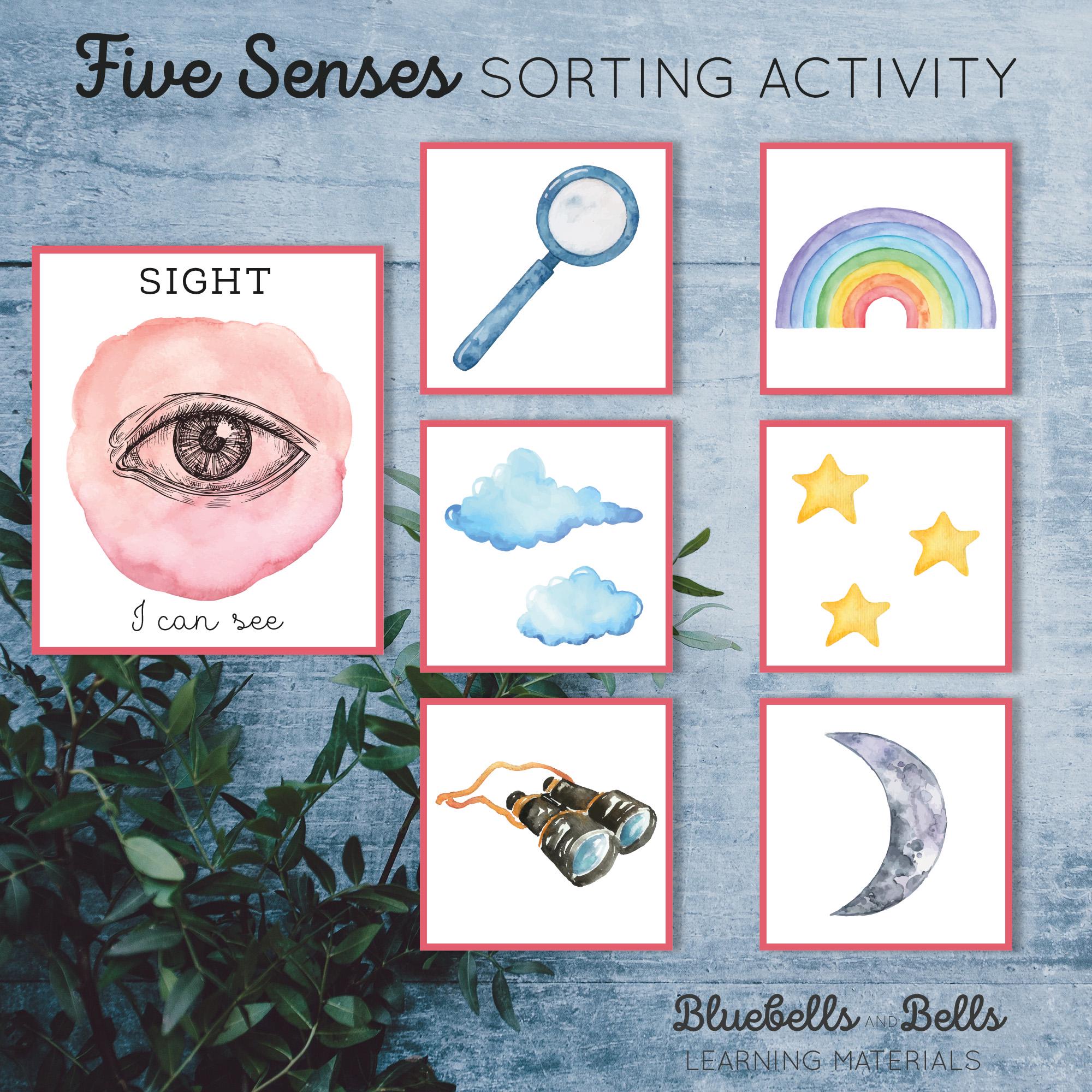 Five Senses Sorting Activity. Kids Printable Game. - Etsy