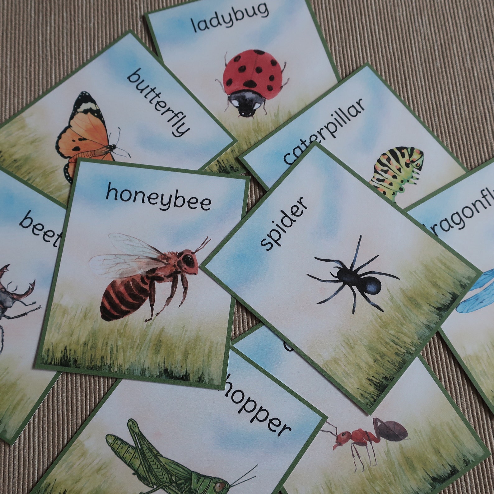 Insect Preschool Printable Mini Flashcards. Watercolor Animal | Etsy