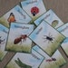 Insect Flashcards Mini. Watercolor Printable for Toddlers and Preschool ...