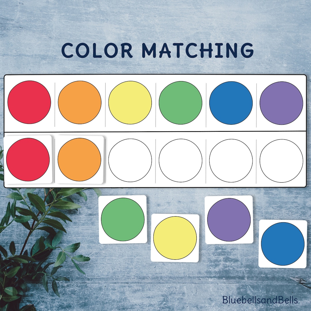 Montessori Color Matching Toddler Activity - Etsy