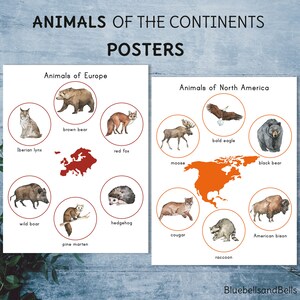 Animals of the Continents Posters and Sorting Activity. Montessori ...
