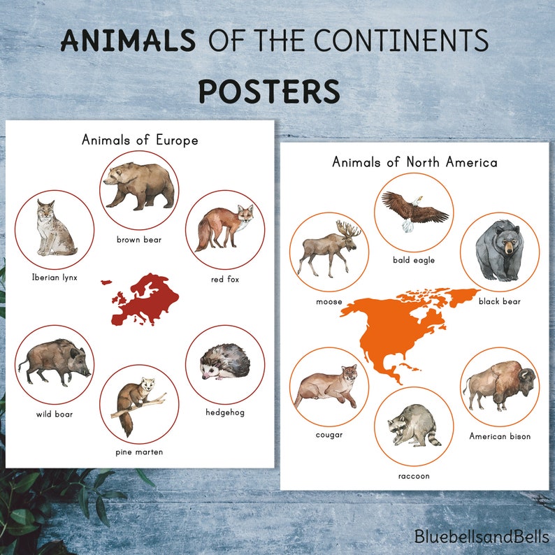 Animals of the Continents Posters and Sorting Activity. - Etsy