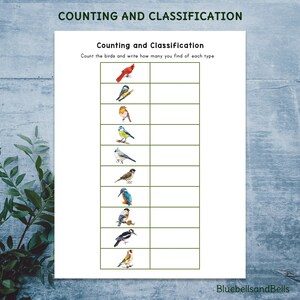 Birds Preschool Graphing. Spring Montessori Math Printable for ...