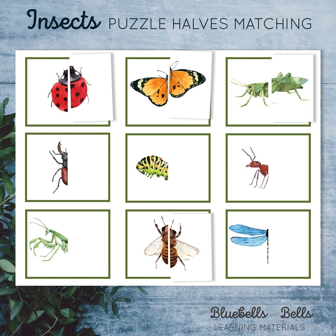 Insect Toddler Puzzle Halves Matching. Montessori Printable Matching ...