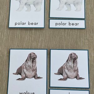 Arctic Animals 3 Part Cards. Montessori Winter Printable Vocabulary ...