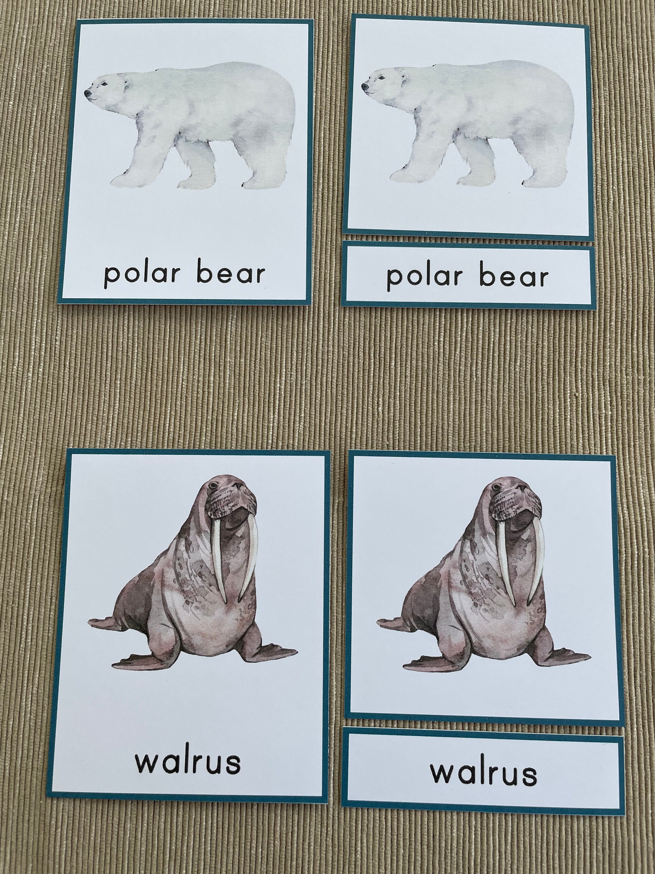 Arctic Animals 3 Part Cards. Montessori Winter Printable - Etsy