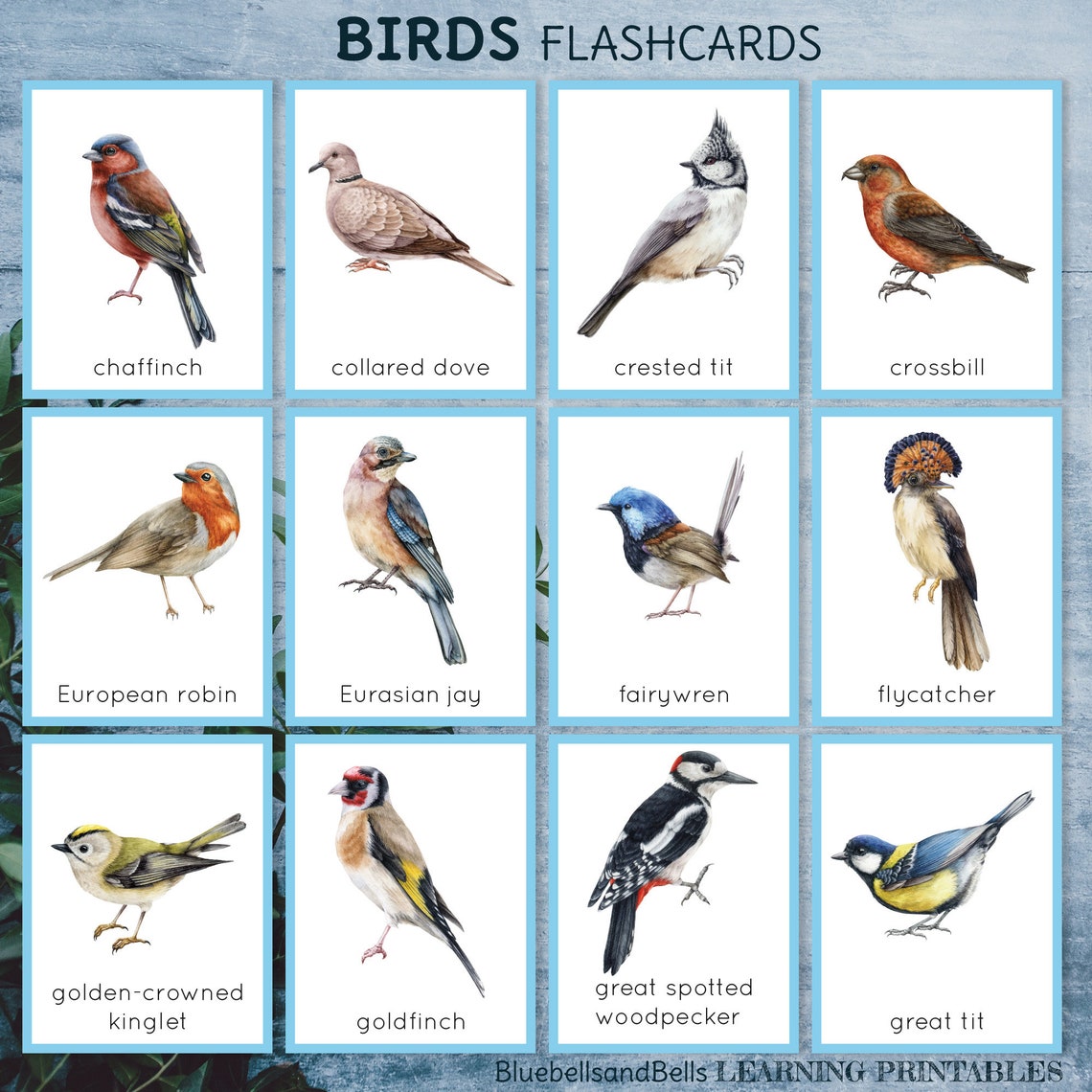 Birds Cards. Birds Identification Printable Flash Cards. Montessori ...