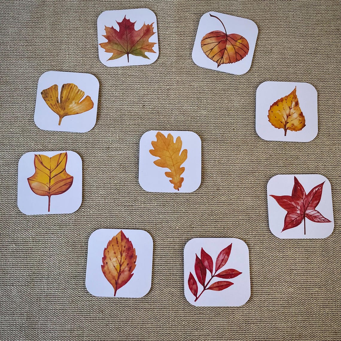 Fall Leaf Montessori Printable. Leaf Identification Preschool Printable ...