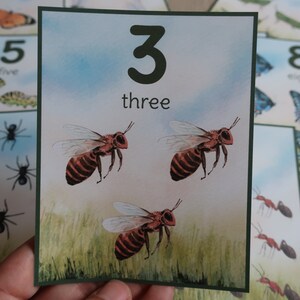 Insect Preschool Printable Number 1-10 Flashcards. Toddler Watercolor ...