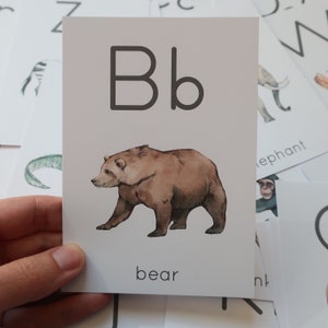 Animal Alphabet Cards. Watercolor Letter Flash Cards. Classroom ABC ...