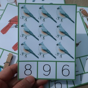 Birds Count and Clip Cards 1-10. Spring Montessori Printable. Preschool ...