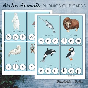 Arctic Animals Preschool Printable Beginning Sound Clip Cards. - Etsy