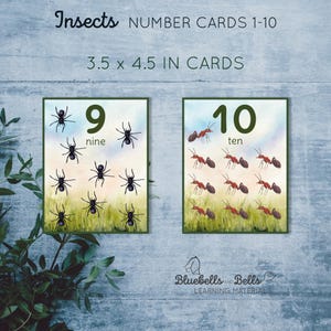 Insect Preschool Printable Number 1-10 Flashcards. Toddler Watercolor ...
