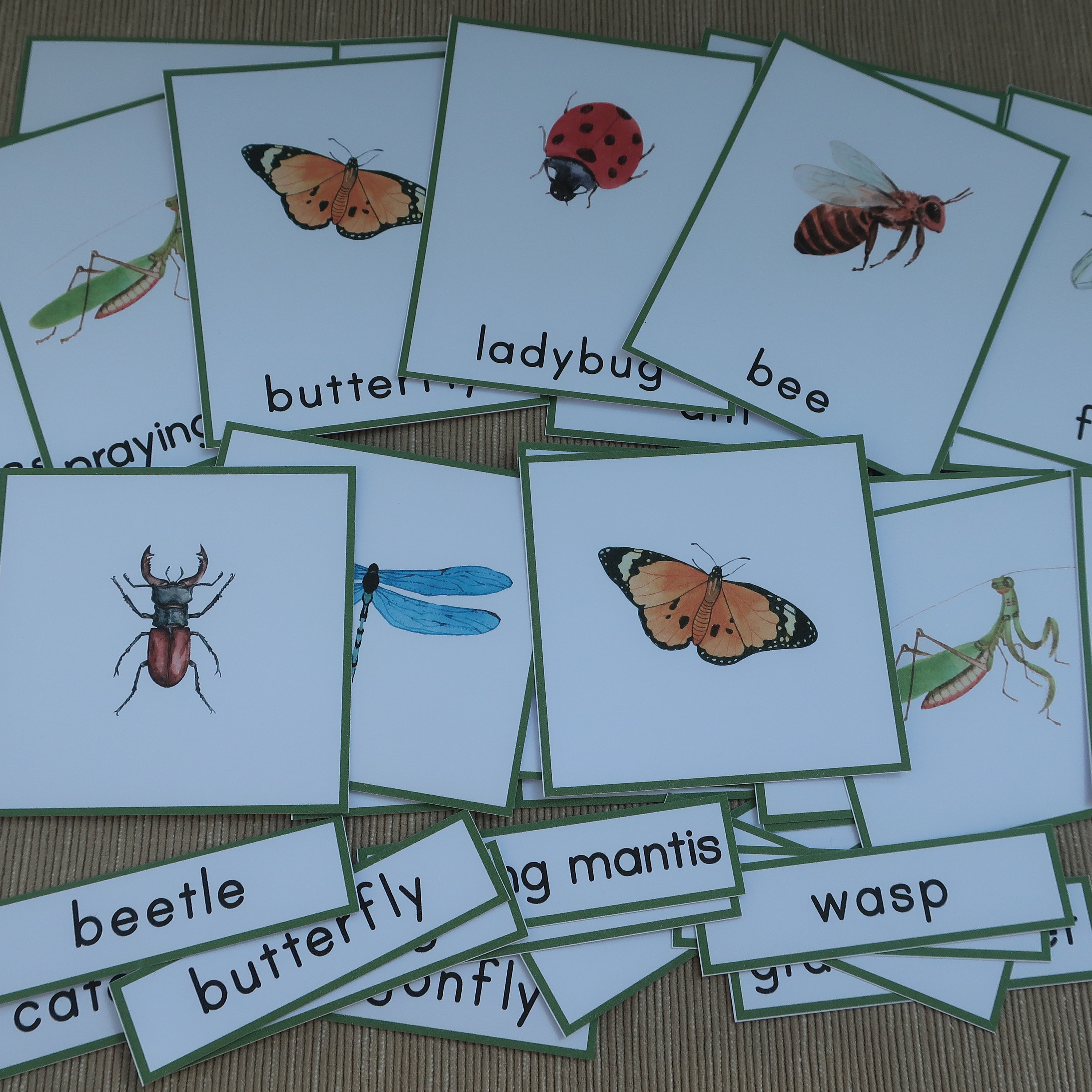 Insect Montessori Printable 3-part Cards. Preschool and Kindergarten ...