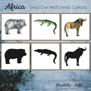 Africa Animal Shadow Matching Cards. Montessori Toddler Printable ...
