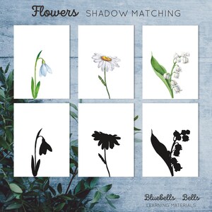 Flower Printable Shadow Matching Cards. Montessori Spring Preschool ...