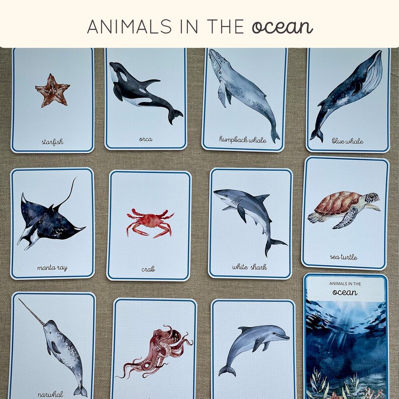 Farm Animal Flashcards, Woodland Animals, Ocean, Rainforest Cards ...