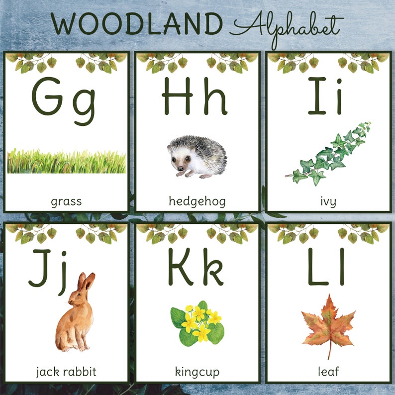Woodland Alphabet Flashcards. Watercolor Letter Cards. Kids - Etsy