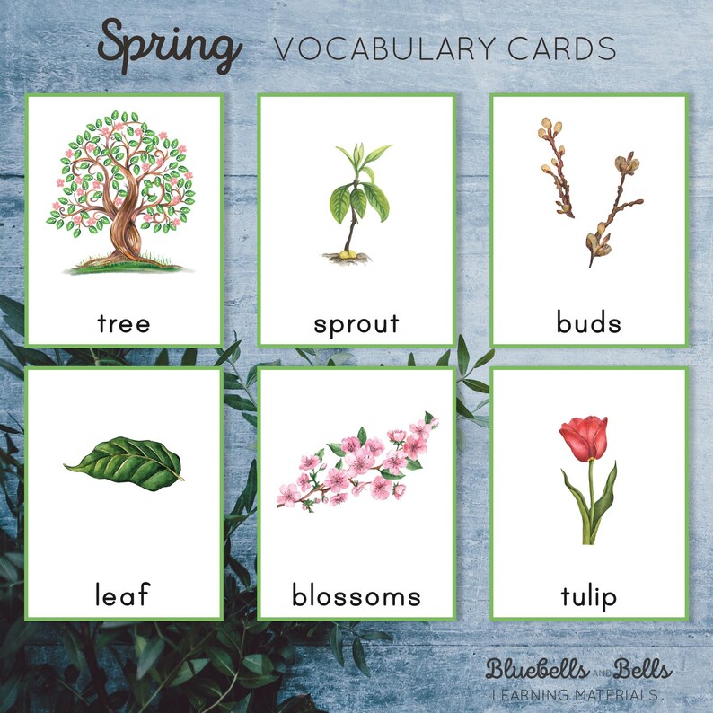 Kindergarten Spring Printable Vocabulary Flashcards. Preschool Activity ...