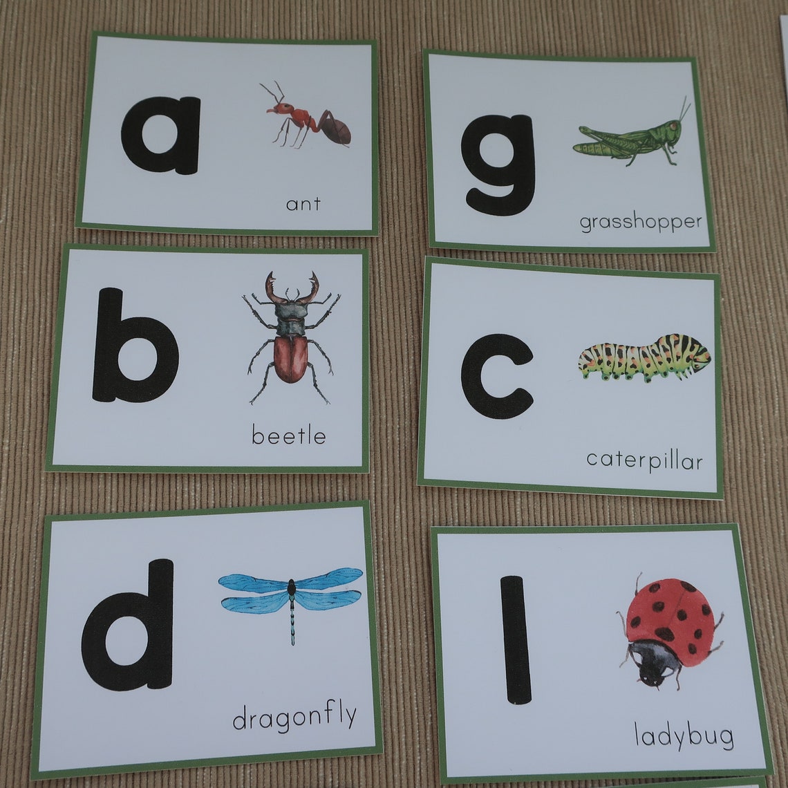 Phonics Printable INSECTS. Spring Preschool and Kindergarten - Etsy