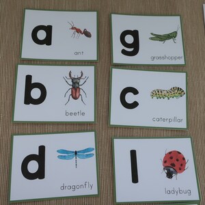 Phonics Printable INSECTS. Spring Preschool and Kindergarten Beginning ...