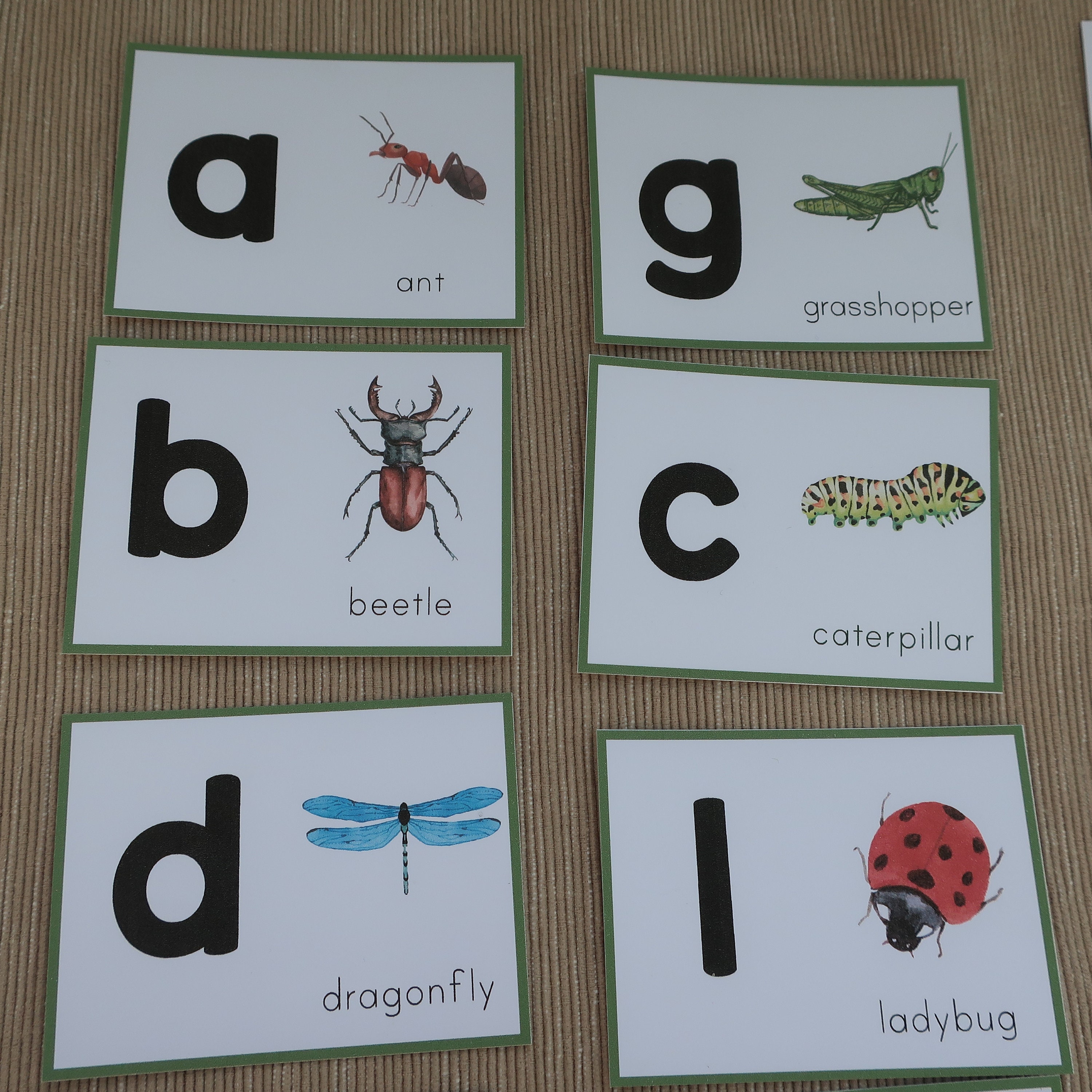 Phonics Printable INSECTS. Spring Preschool and Kindergarten - Etsy
