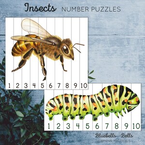 Insect Preschool Printable Number Sequence Puzzles 1-10. Montessori ...