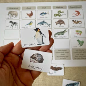 Classification of Animals Vertebrates. Chart and Worksheet for Sorting ...