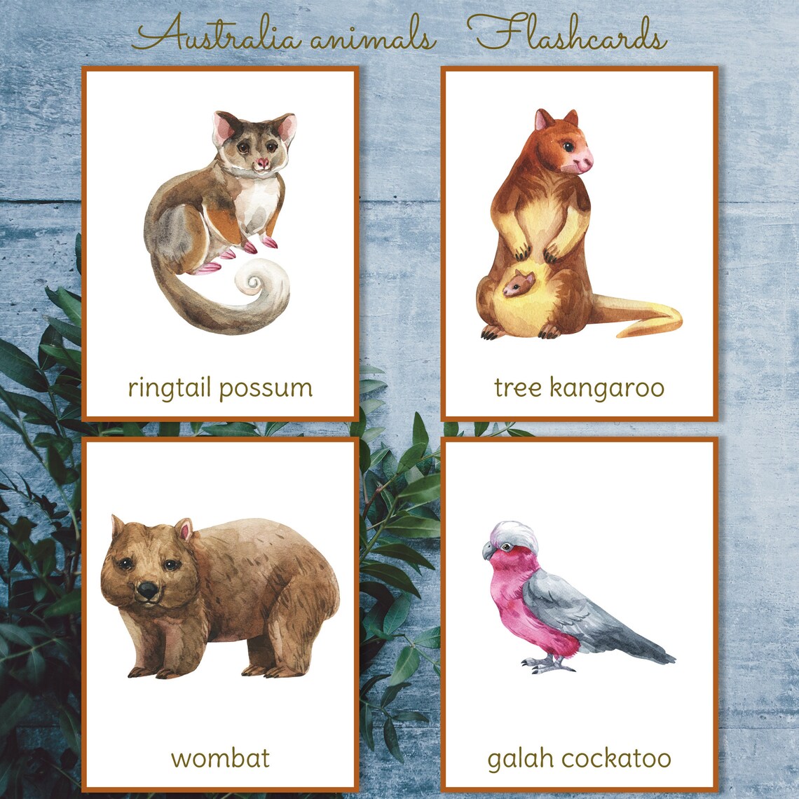 Australia Animal Flashcards and Shadow Matching Cards. - Etsy