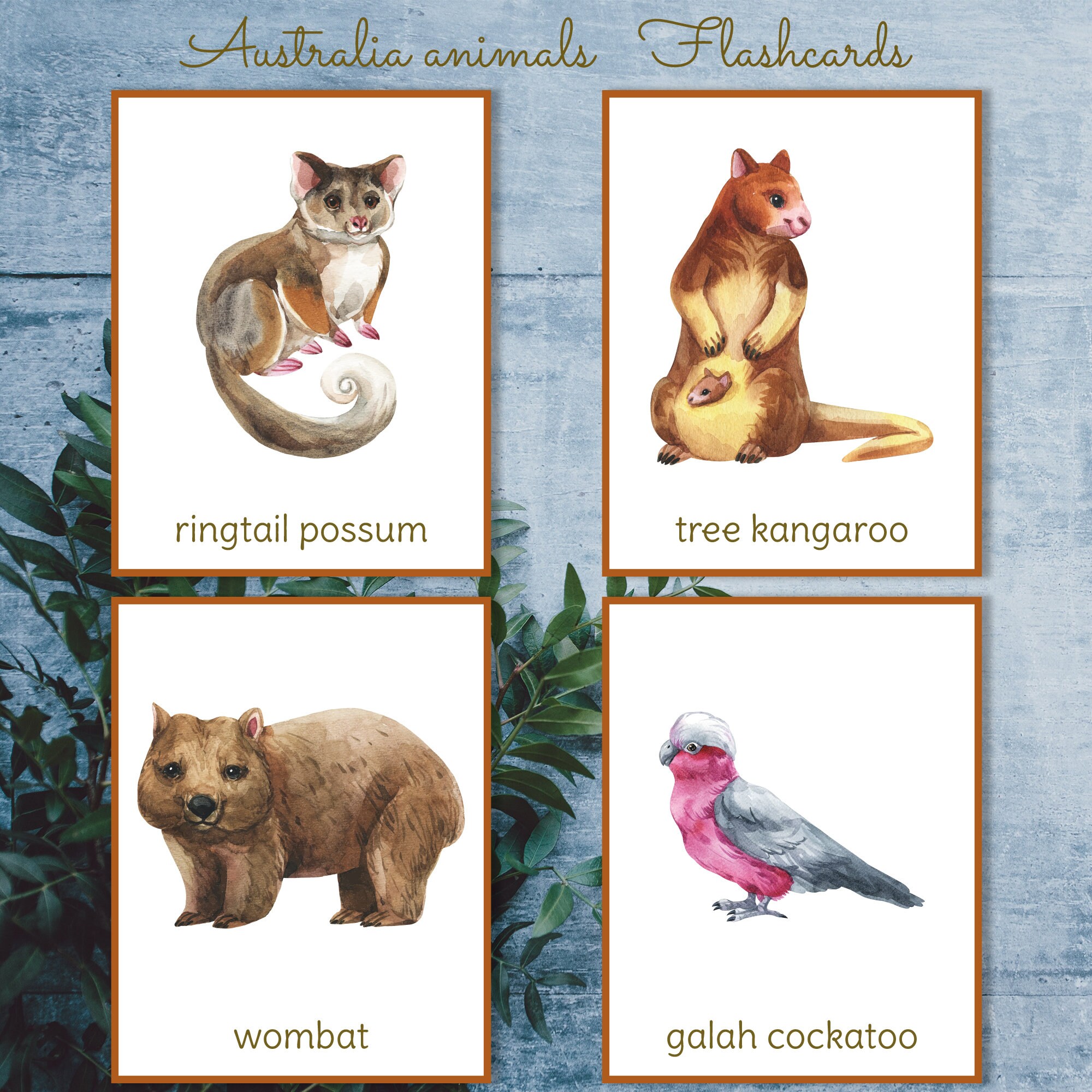 Australia Animal Flashcards and Shadow Matching Cards. | Etsy