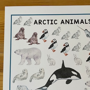Montessori Arctic Animals Graphing Activity. Preschool Math Printable ...