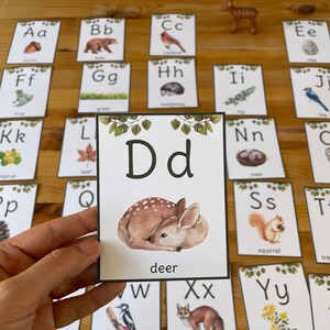 Woodland Alphabet Flashcards. Watercolor Letter Cards. Kids Printable ...