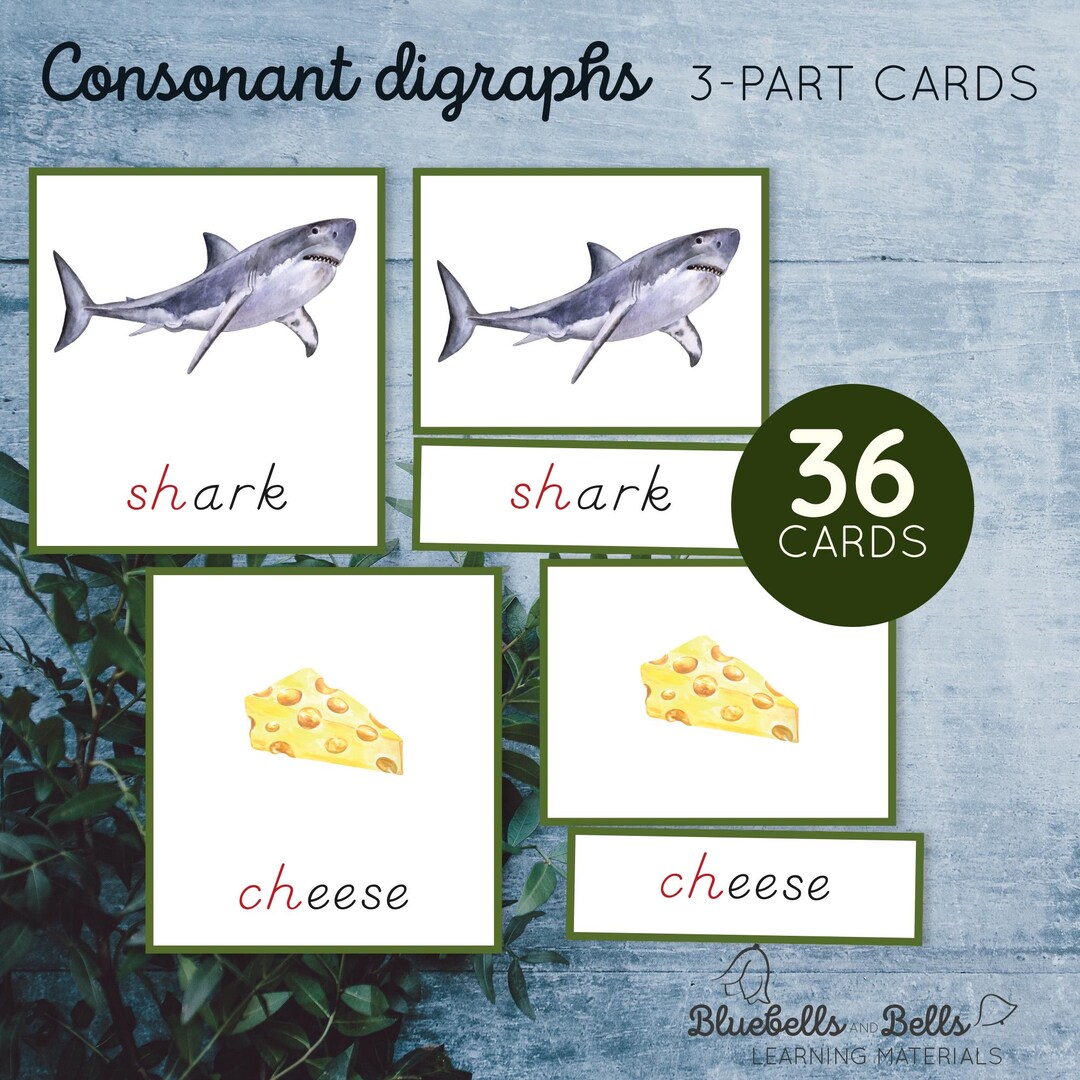Montessori Phonics Green Series Digraph 3-part Cards. - Etsy