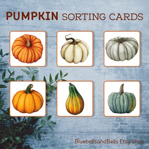Fall Preschool Montessori Printable Category Sorting Activity. Toddler ...