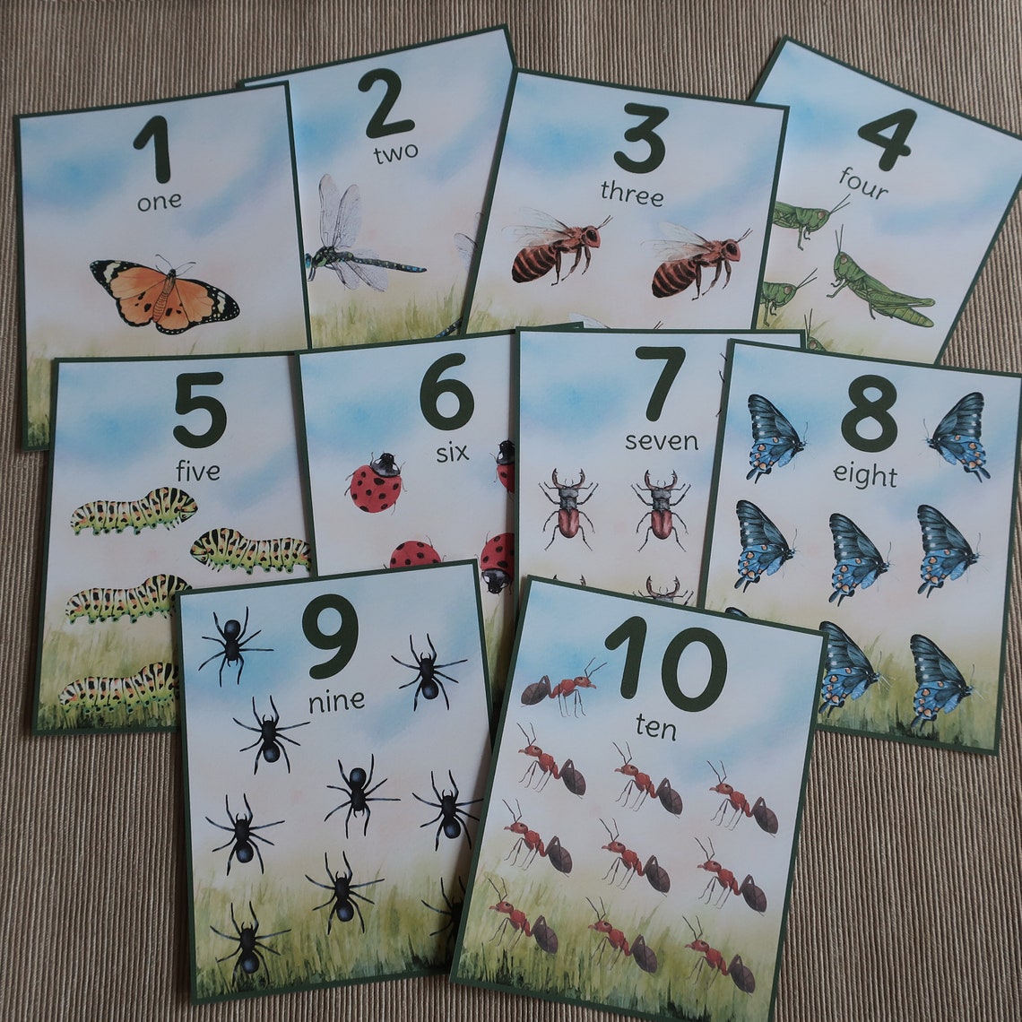 Insect Preschool Printable Number 1-10 Flashcards. Toddler | Etsy