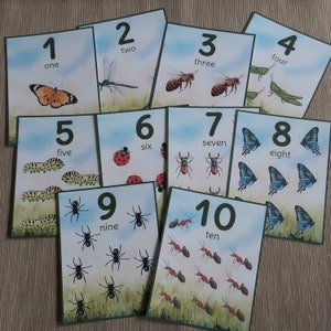 Insect Preschool Printable Number 1-10 Flashcards. Toddler Watercolor ...