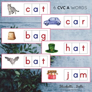 Montessori Printable Moveable Alphabet and CVC Word Matching Cards ...