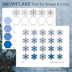 Winter Montessori Printable Snowflake Sorting Activity. Sort by Color ...