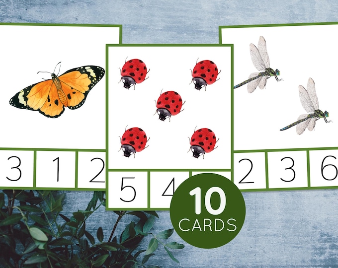 Counting Insects Bugs Clip Cards • Montessori Math Printable (1-20 ...