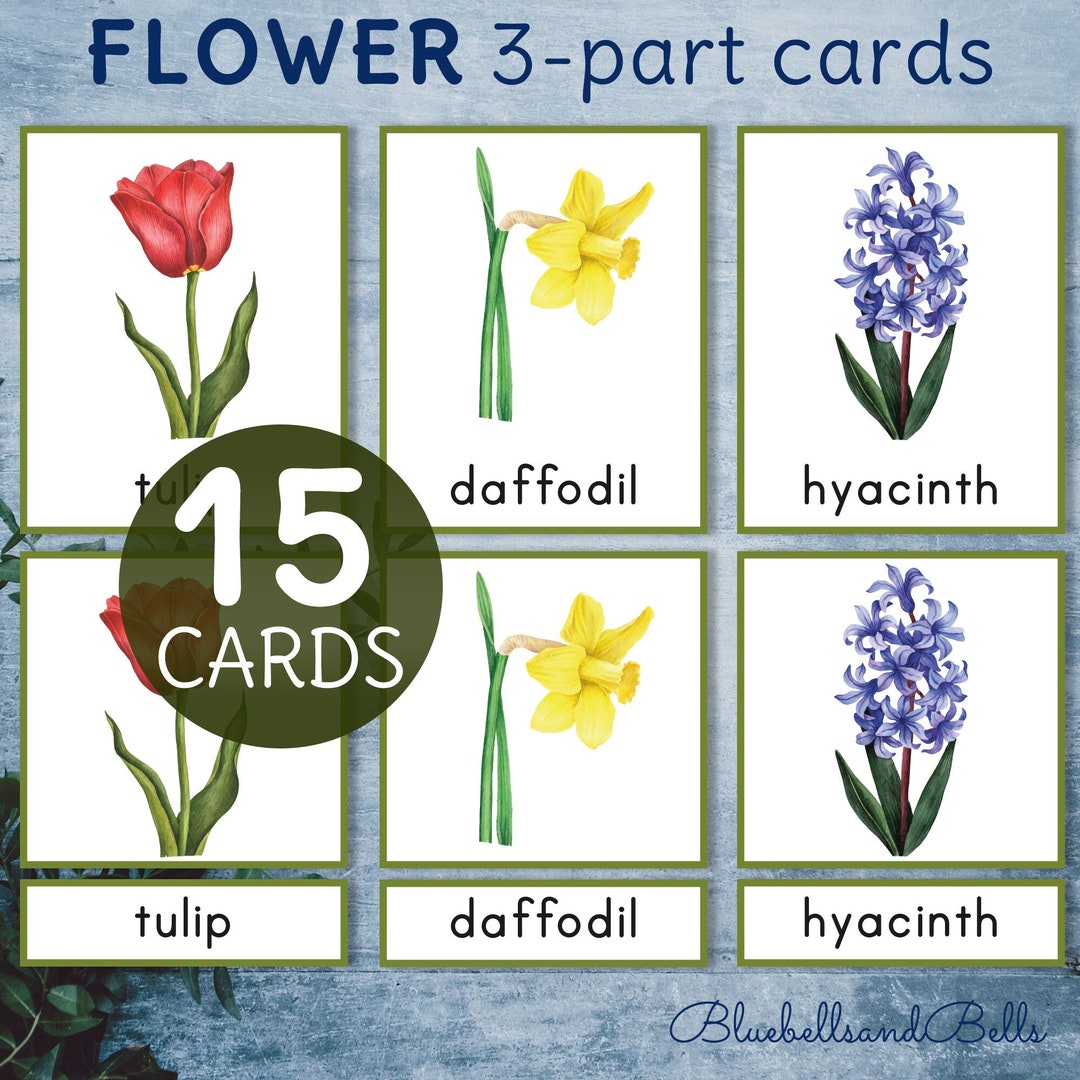 Montessori Spring Flowers 3 Part Cards. Flower Identification Cards for ...
