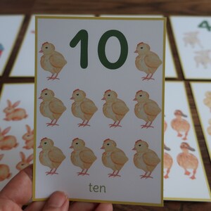 Farm animal number 1-10 flash cards. Toddler watercolor | Etsy