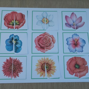 Montessori Spring Flower Puzzle. Toddler Matching Halves Activity ...