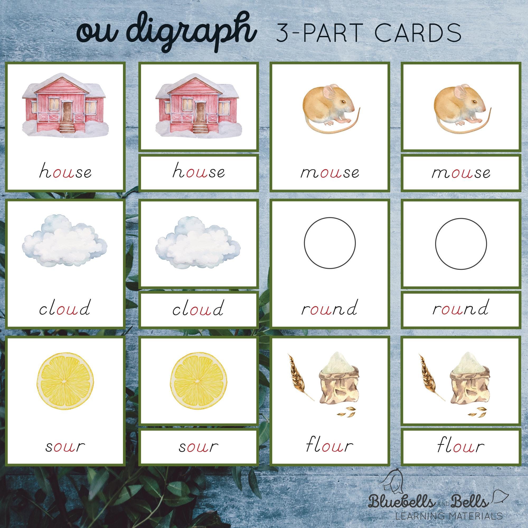 Montessori Printable Digraph 3-part Cards. Green Series Activity. - Etsy