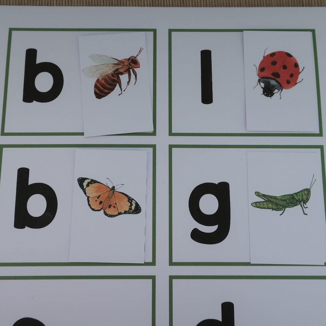 Phonics Printable INSECTS. Spring Preschool and Kindergarten - Etsy