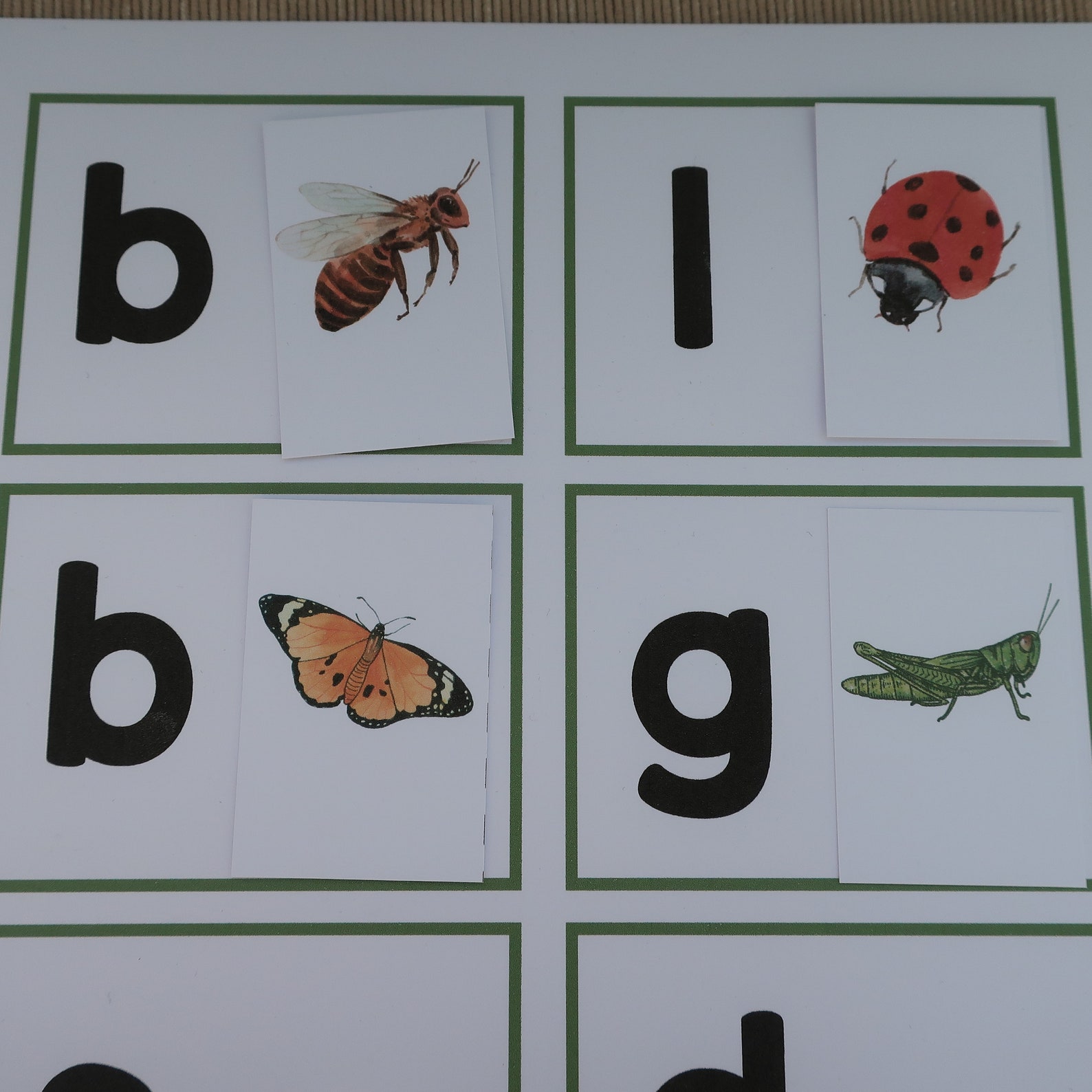 Phonics Printable INSECTS. Spring Preschool and Kindergarten - Etsy
