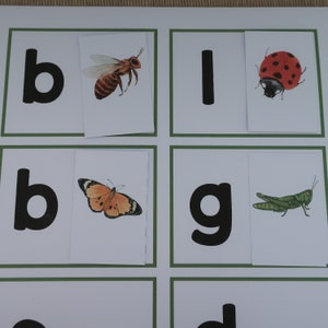 Phonics Printable INSECTS. Spring Preschool and Kindergarten Beginning ...